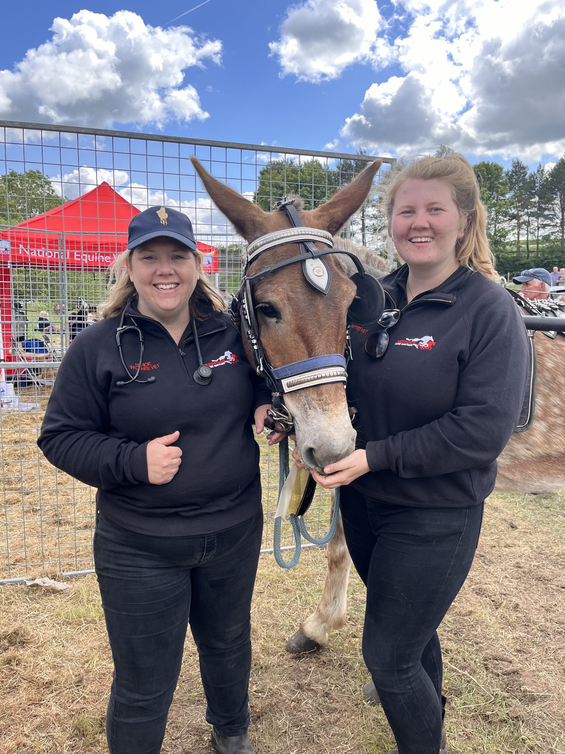 Animal welfare charities get ready to celebrate 10 years of Best at ...