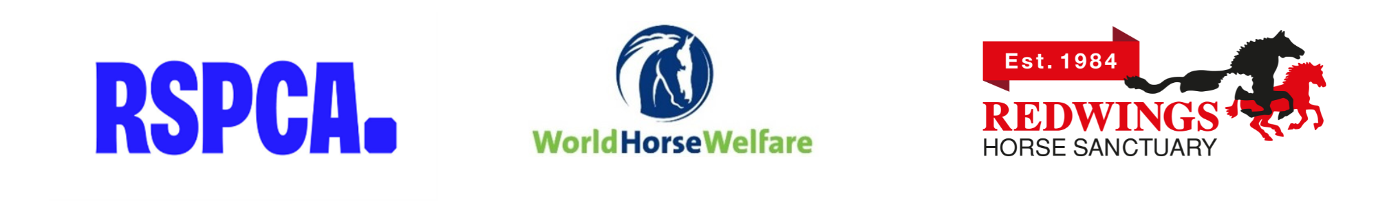 Ponies now enjoying a brighter future thanks to multi-agency work on ...